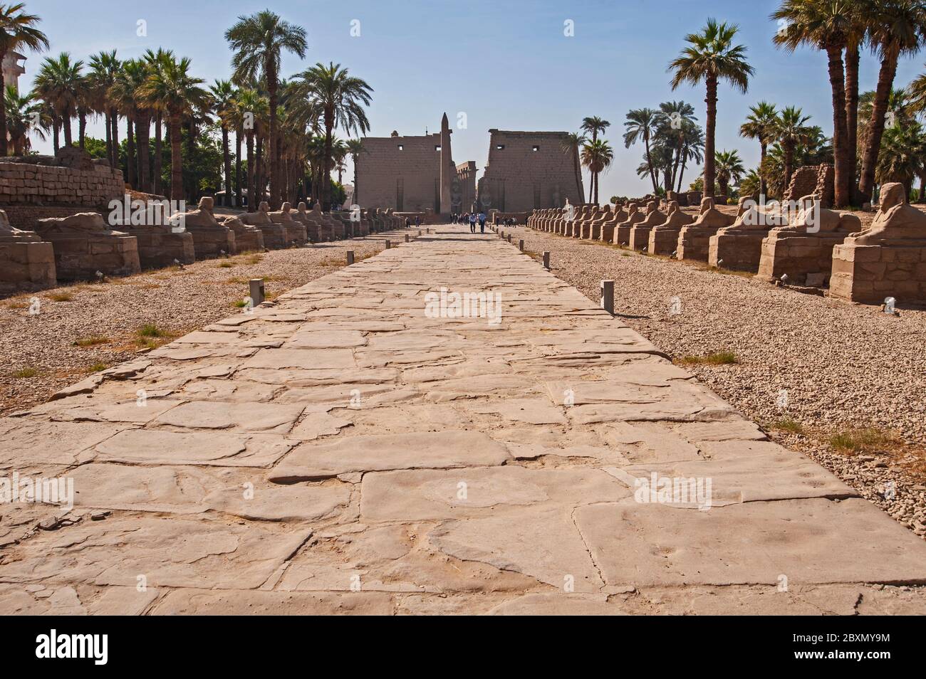 Ancient egyptian avenue of sphinxes on at entrance road to temple of ...