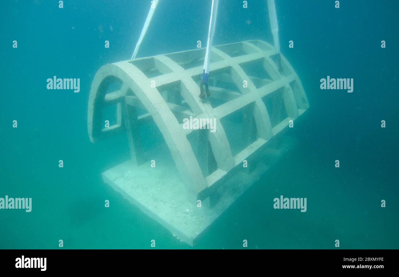 (200608) -- HAIKOU, June 8, 2020 (Xinhua) -- Photo taken on Jan. 21 ...