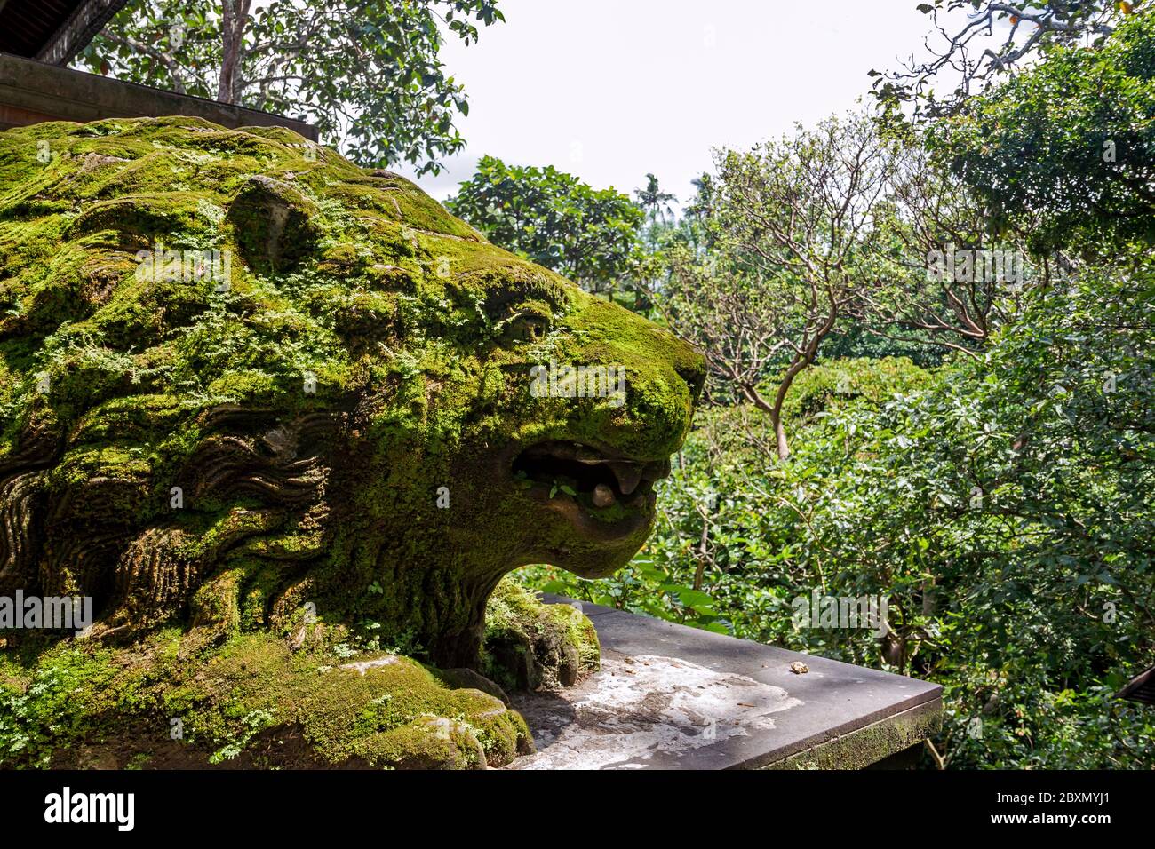 Lion stone statue covered with moss Stock Photo - Alamy