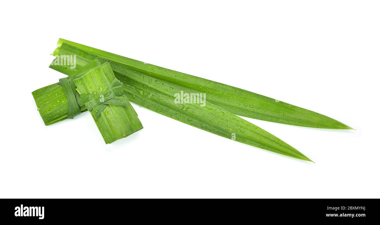 Top view of Fresh green Pandan leaves with water drops isolated on ...
