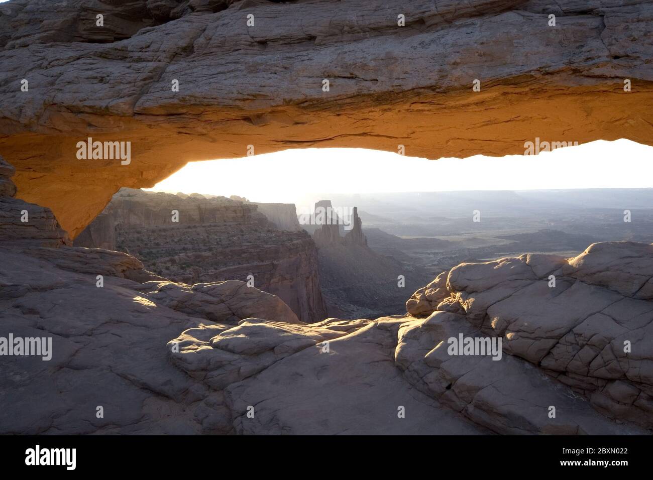 Wonder washer hi-res stock photography and images - Alamy