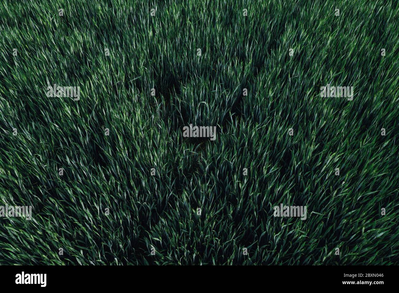 Aerial texture hi-res stock photography and images - Alamy