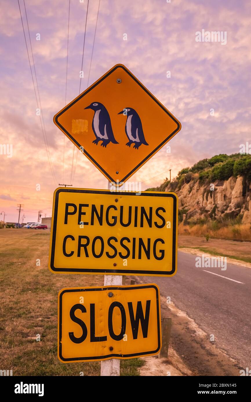 Penguin crossing sign at Oamaru in the South Island of New Zealand ...