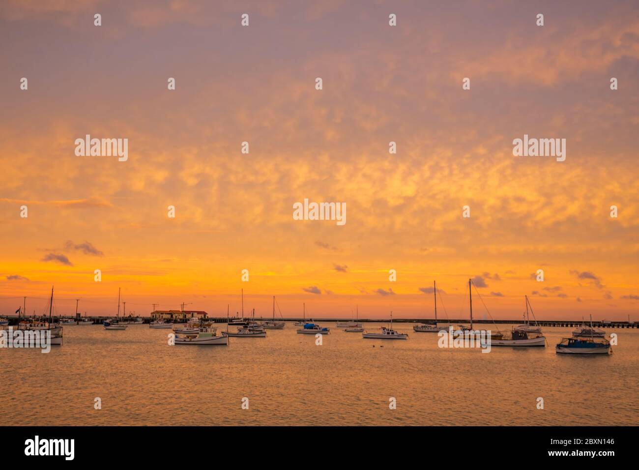 Boats at the port of Oamaru in the South Island of New Zealand. Omaru ...