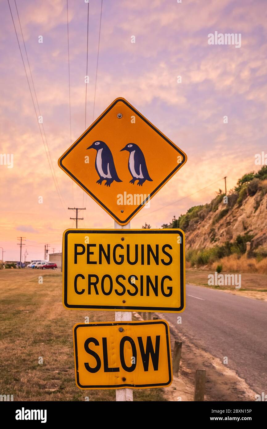Penguin crossing sign at Oamaru in the South Island of New Zealand ...