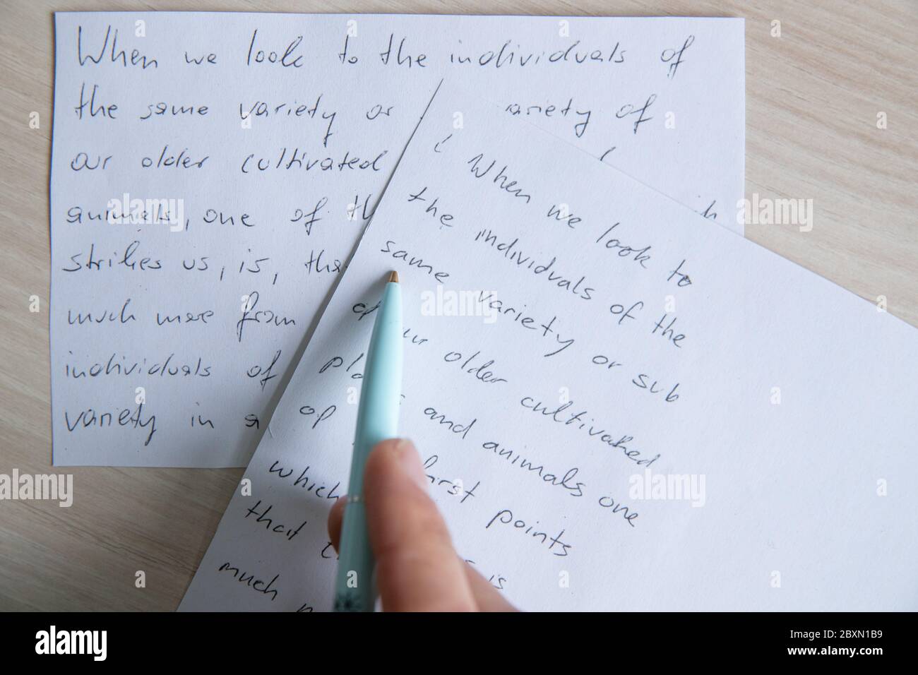 German Numbers Handwriting