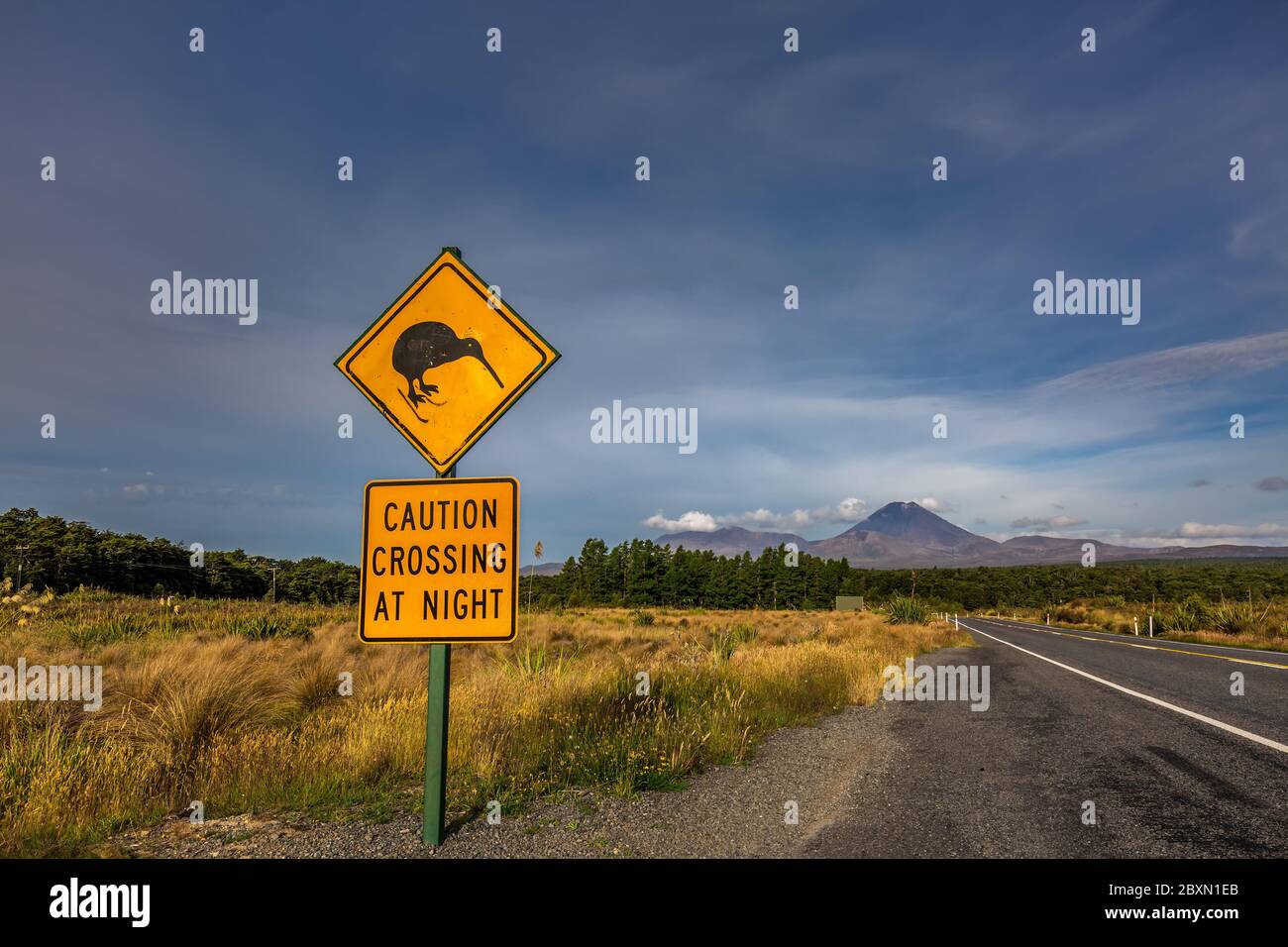 Kiwi sign with mountains at the background near Tongariro Alpine ...