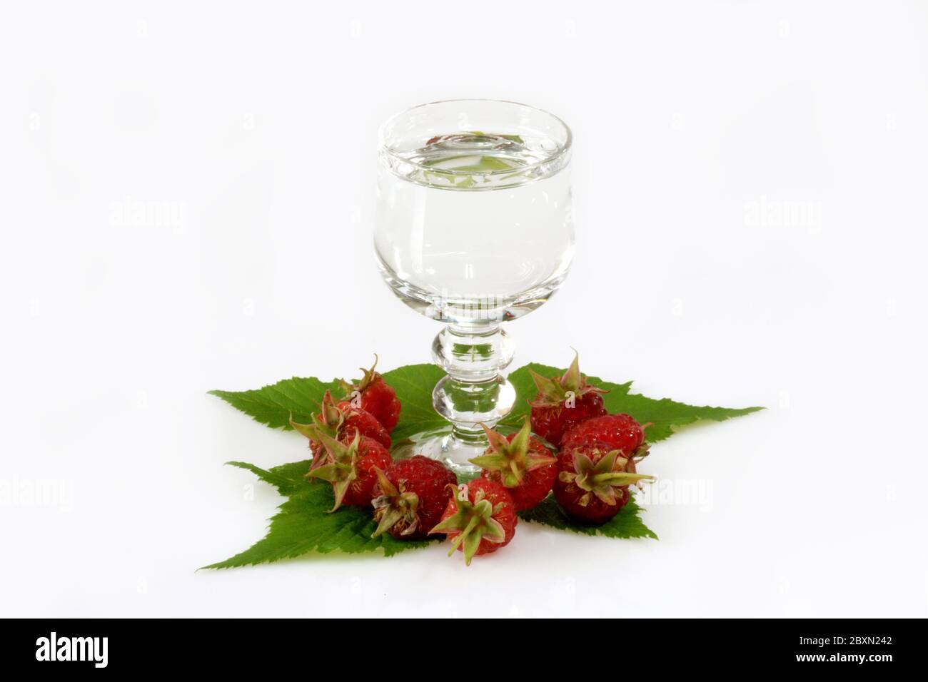 Schnapps Cut Out Stock Images & Pictures - Alamy