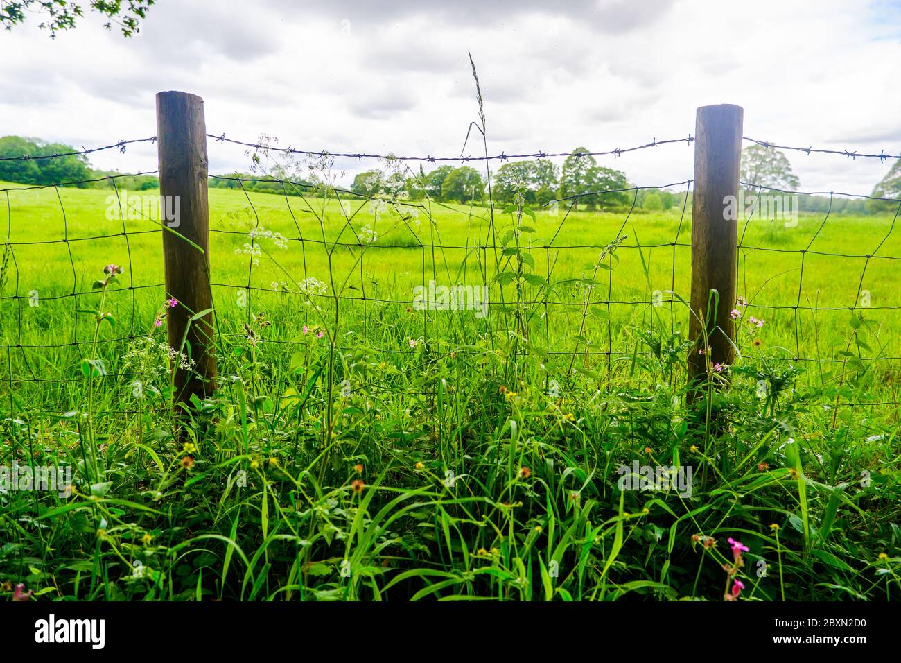 Frame enclosing hi-res stock photography and images - Alamy