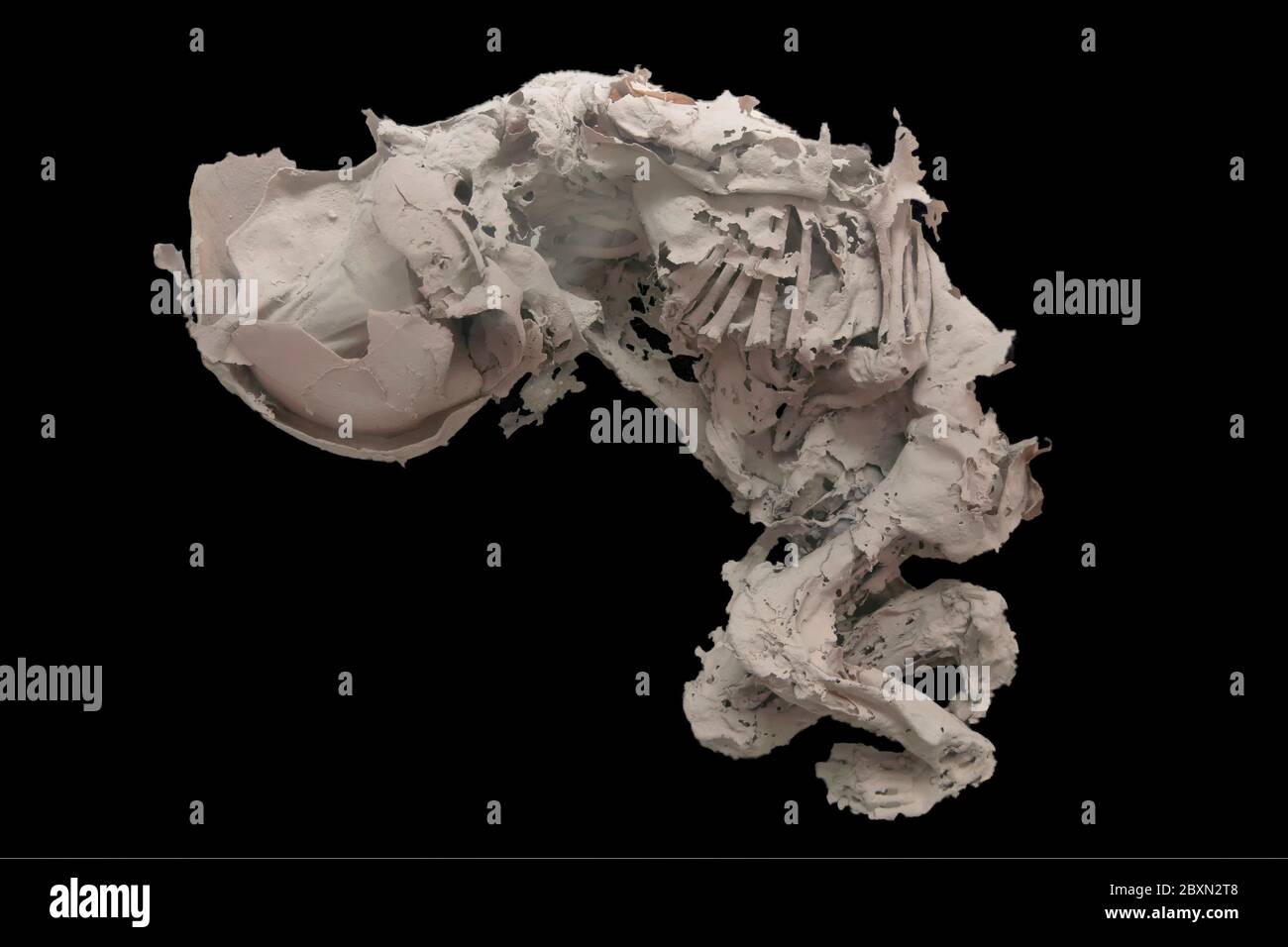 A mummified five-month-old fetus on display inside the tomb of ...