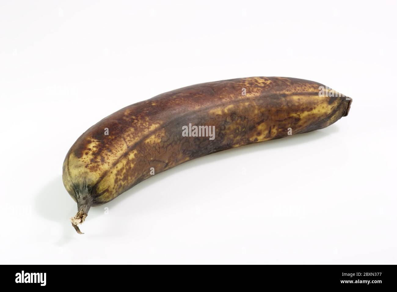 Banana decomposition hi-res stock photography and images - Alamy