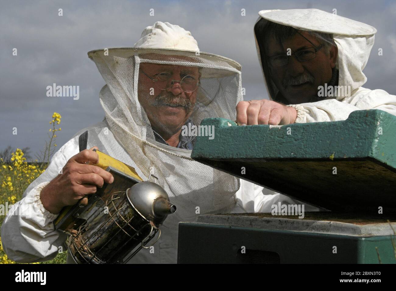 Beekeeper at work, Northern Germany Stock Photo - Alamy
