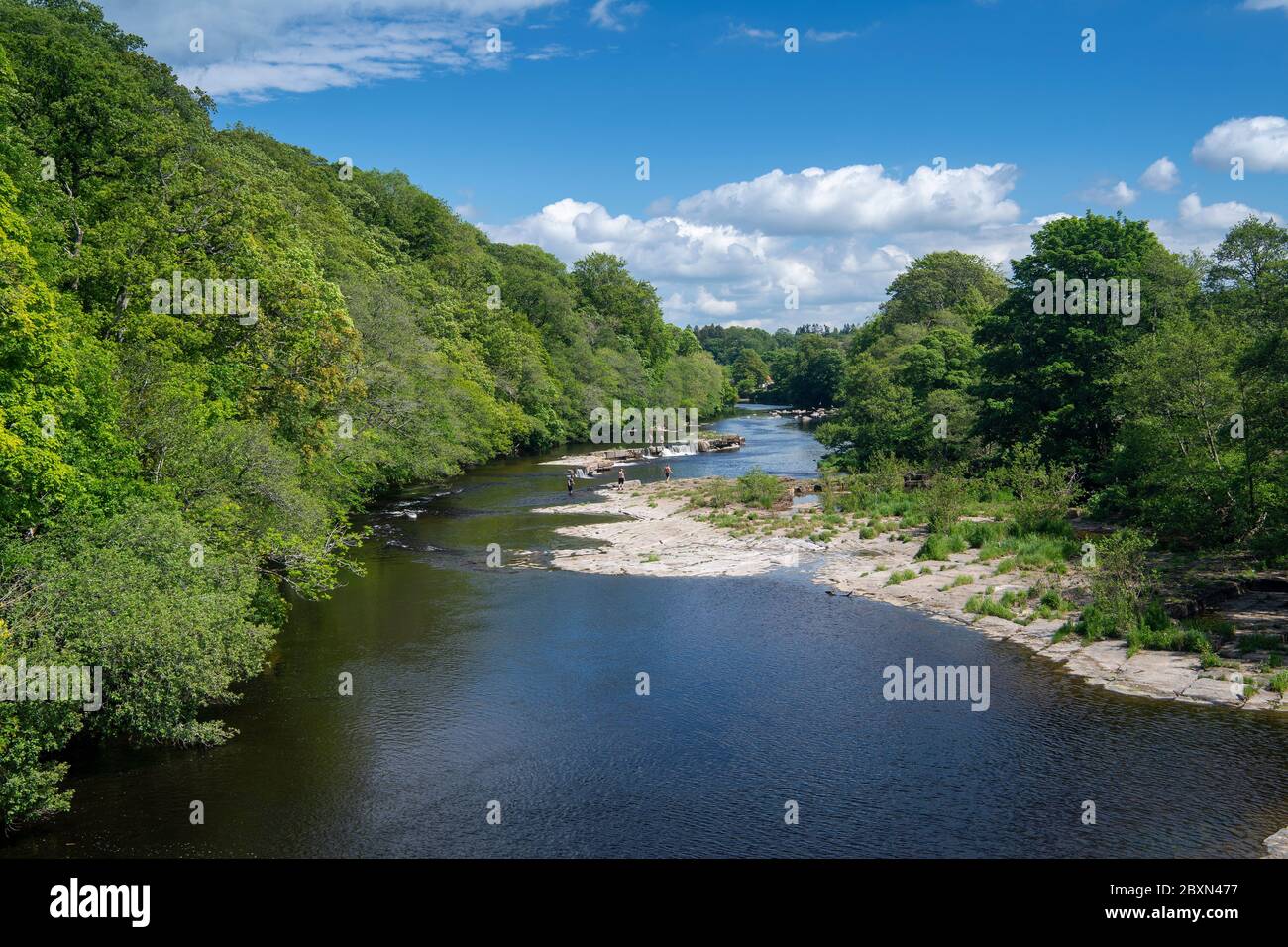River Tees from Whorlton suspension bridge on an early summers ...