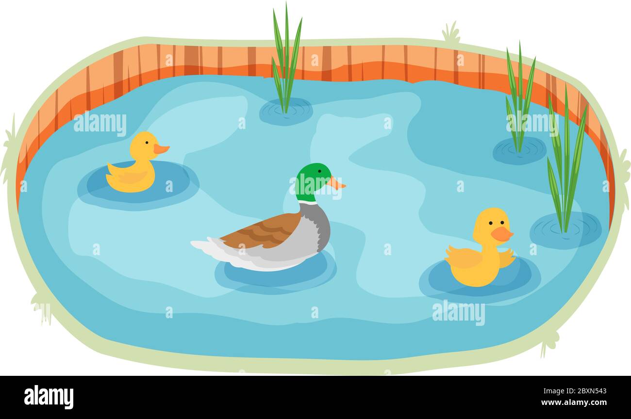 Floating in the lake Stock Vector Images - Alamy