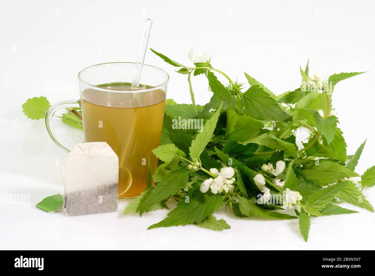 Nettle tea hi-res stock photography and images - Alamy