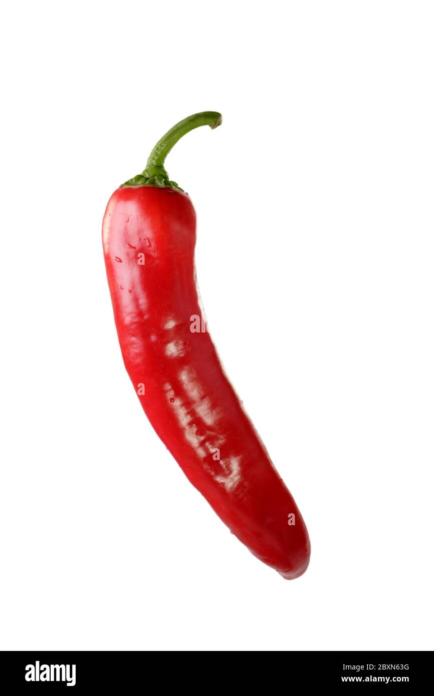 Fresh red chilies pepper Cut Out Stock Images & Pictures - Alamy