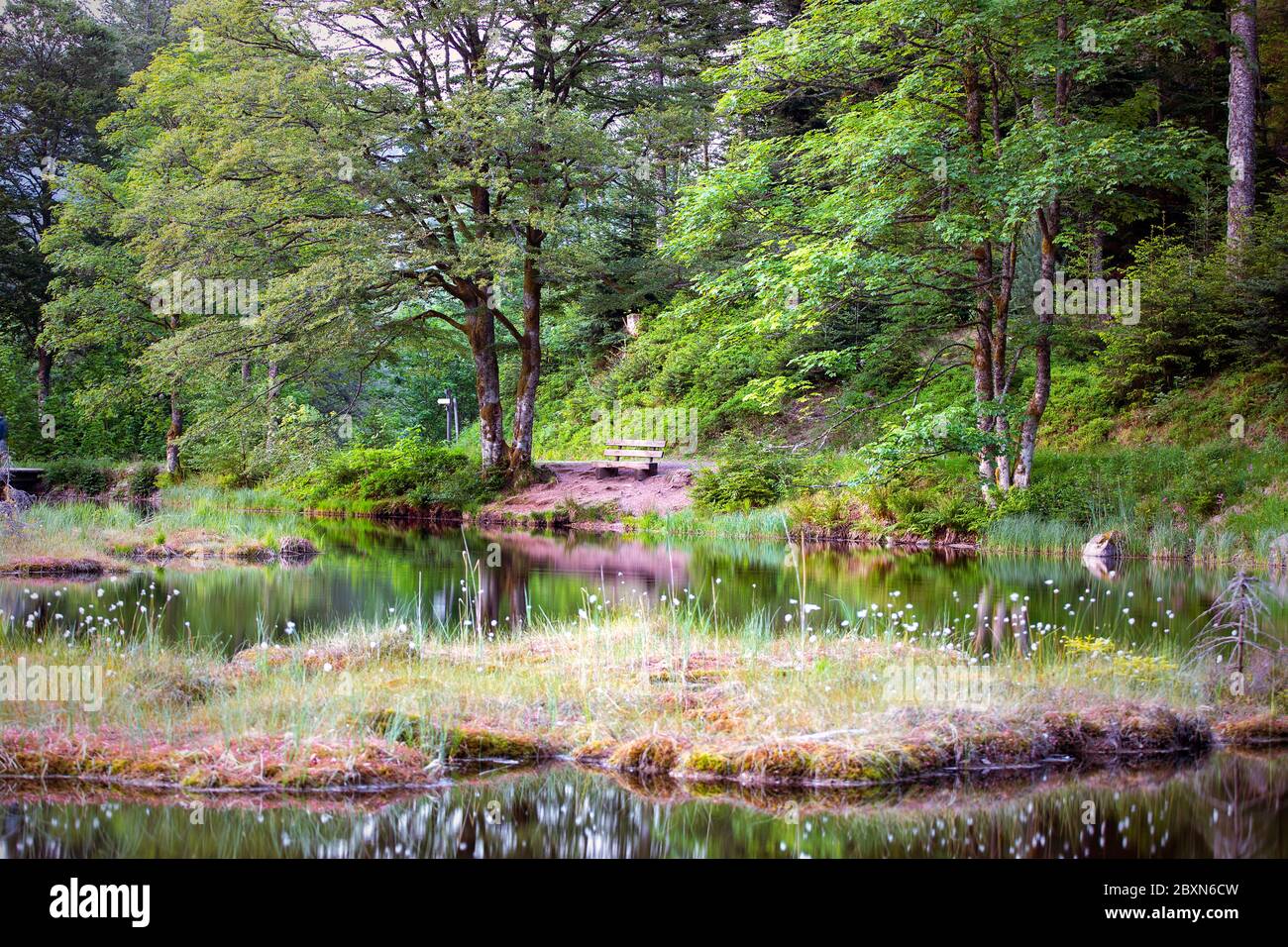 Magical garden hi-res stock photography and images - Alamy