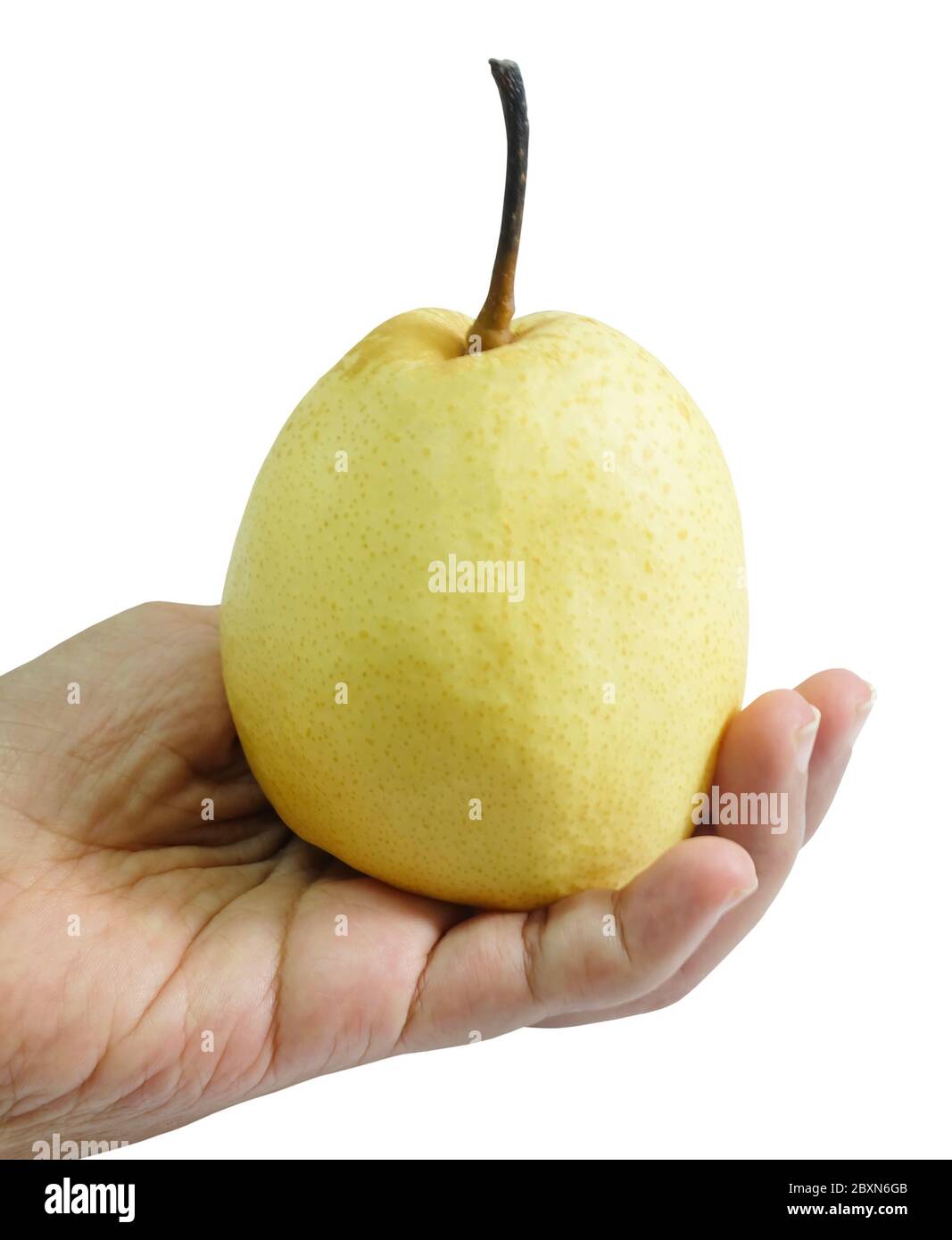 Japanese sand pear hi-res stock photography and images - Alamy
