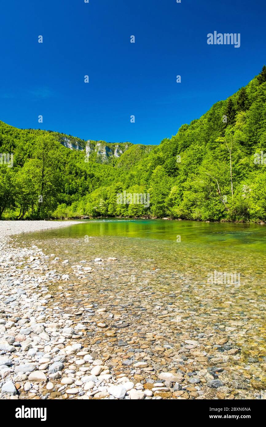 Croatia, beautiful green nature landscape in spring, canyon of Kupa ...