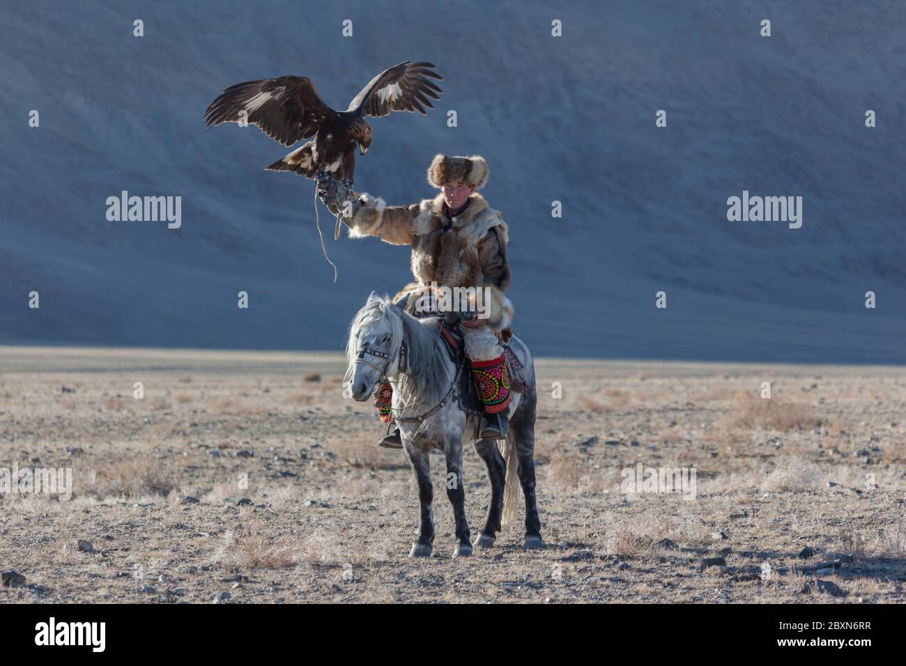 Kazakh berkut hunting Stock Photo - Alamy