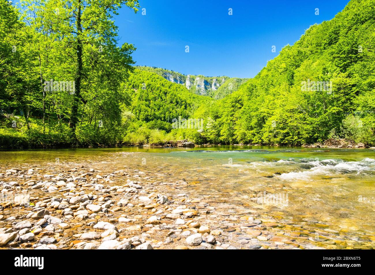 Croatia, beautiful green nature landscape in spring, canyon of Kupa ...