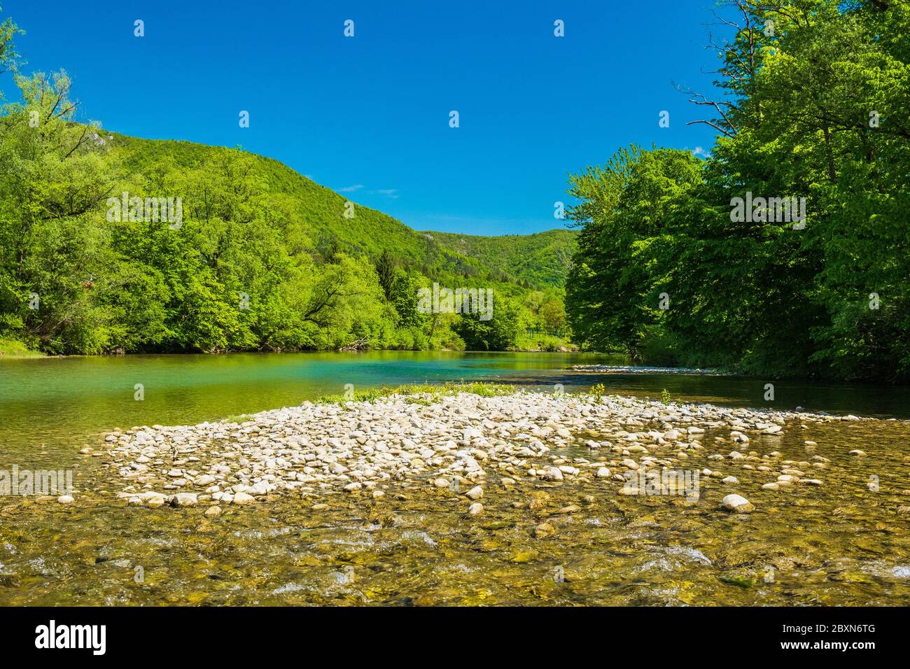 Croatia, beautiful green nature landscape in spring, canyon of Kupa ...