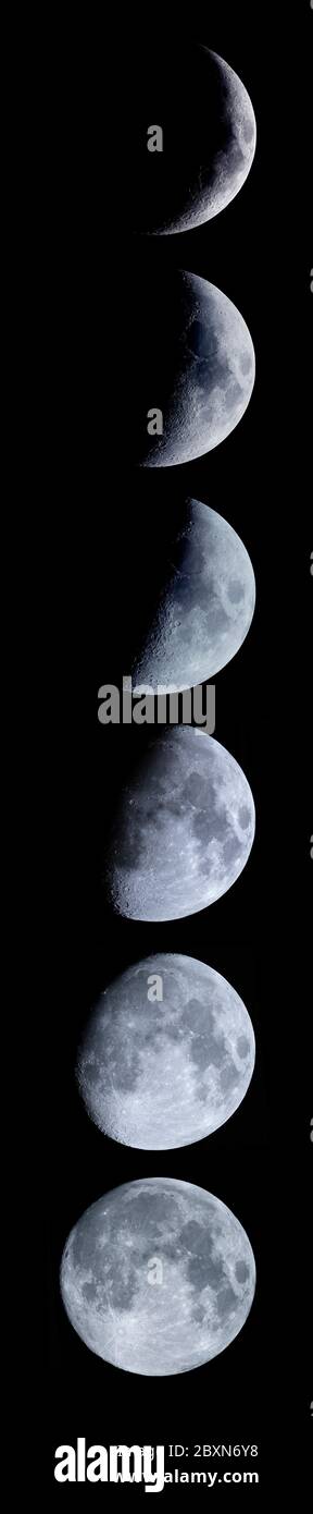 Phases of the Moon, vertical sequential series from crescent to full ...