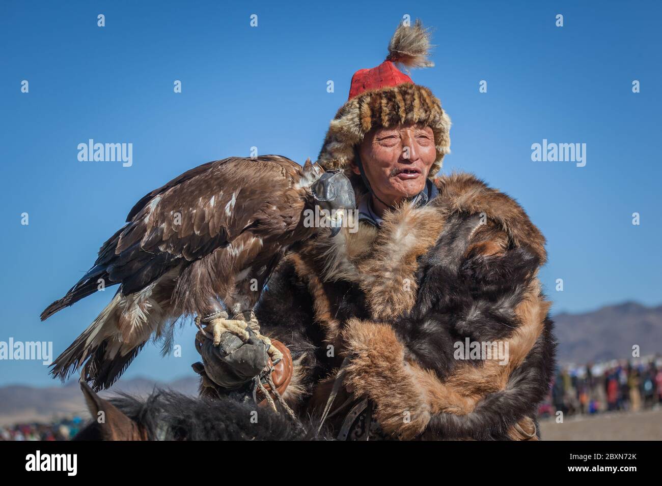 Berkut golden eagle hi-res stock photography and images - Alamy