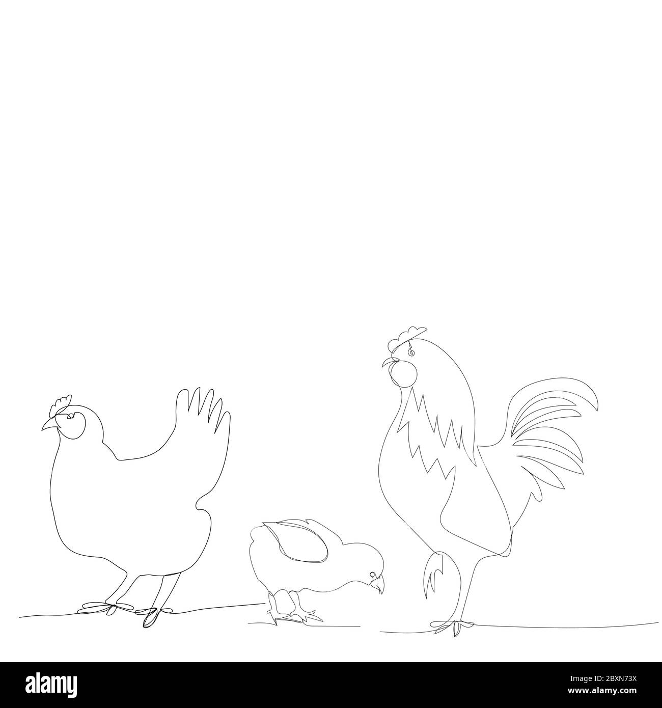 continuous line drawing of chickens and chicken, rooster Stock Vector ...