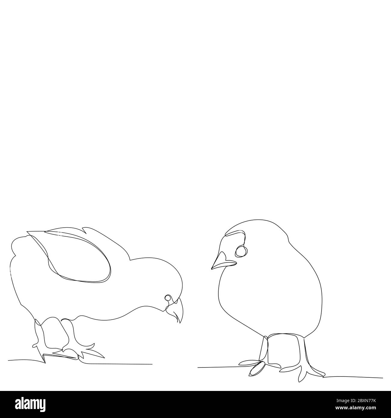 white background, continuous line drawing of chickens Stock Vector ...
