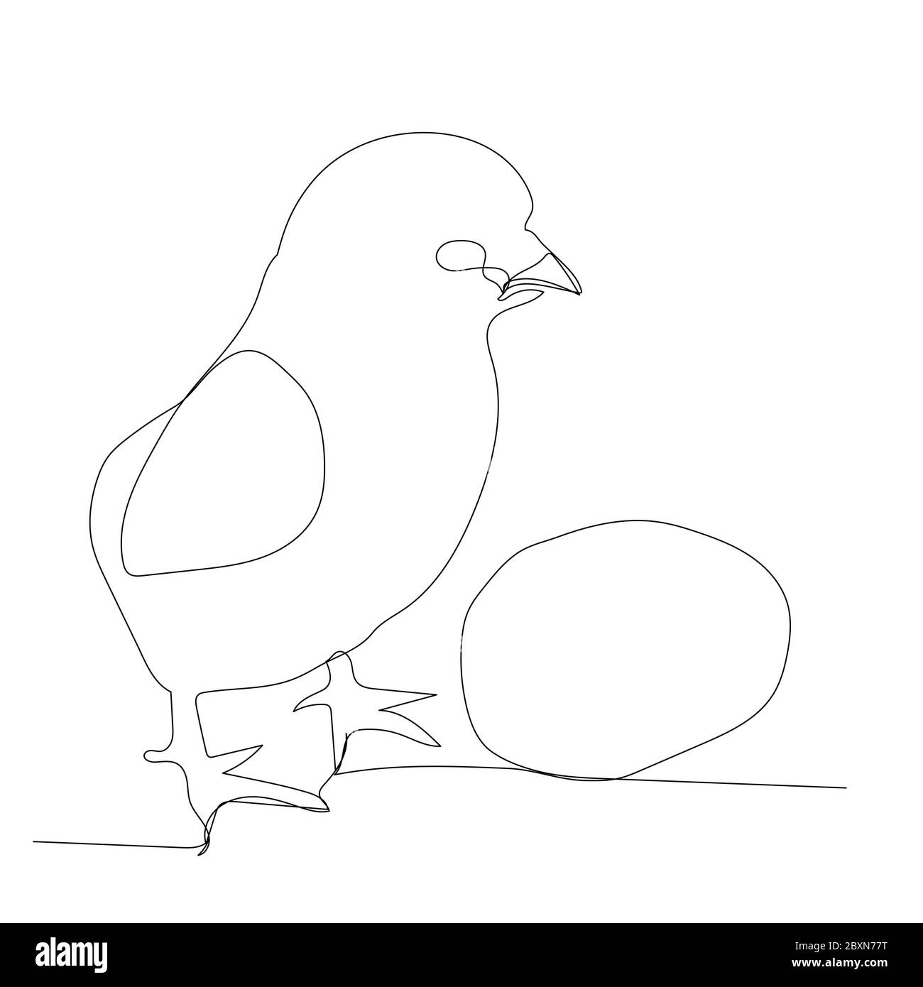 vector, white background, continuous line drawing of chickens Stock ...
