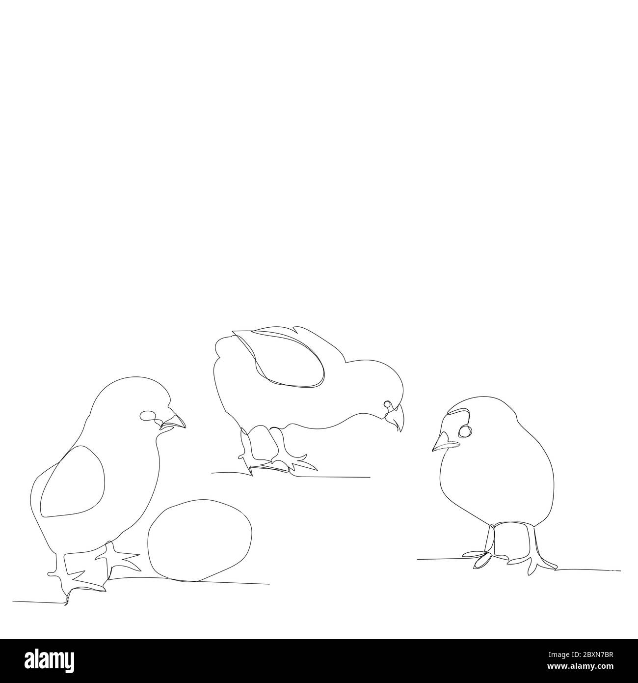 white background, continuous line drawing of chickens Stock Vector ...