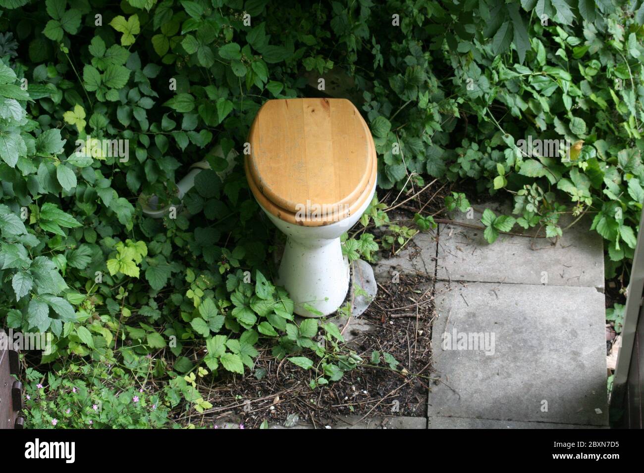 Earth toilet hi-res stock photography and images - Alamy