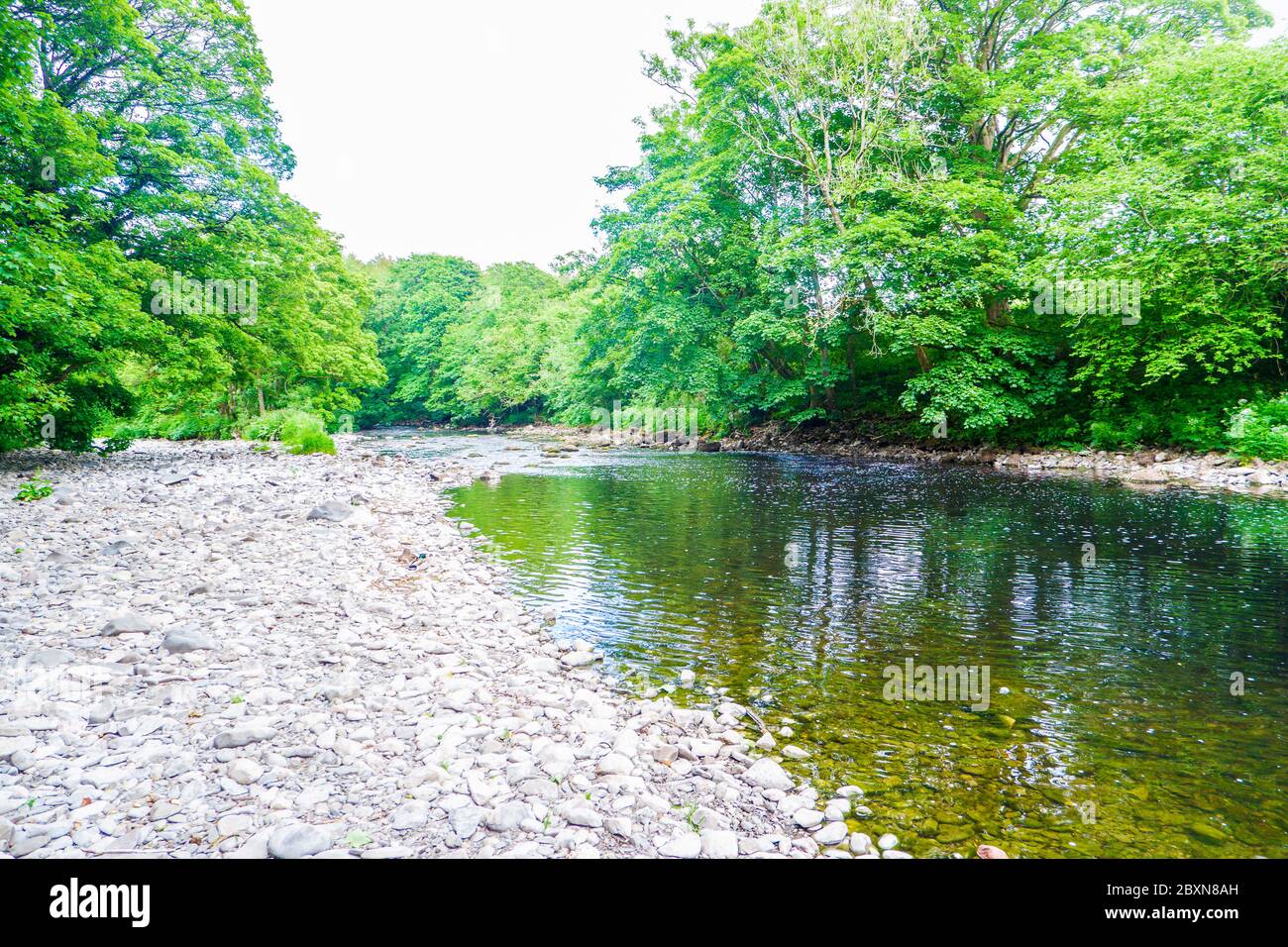 River Kent running over the rocks and pebbles with tree lined banks in ...