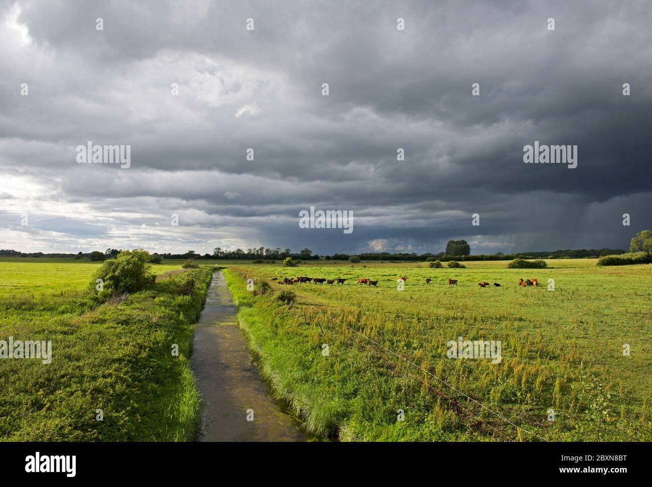 Typical rural landscape in East Yorkshire, England UK Stock Photo - Alamy