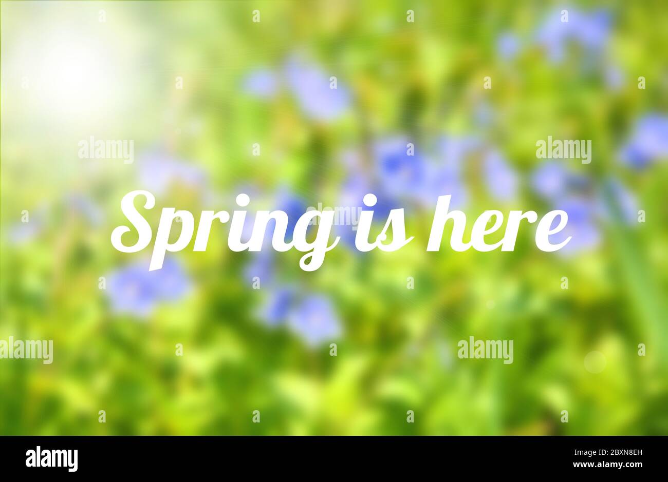 Spring is here. Text over blurred green and blue background Stock Photo ...