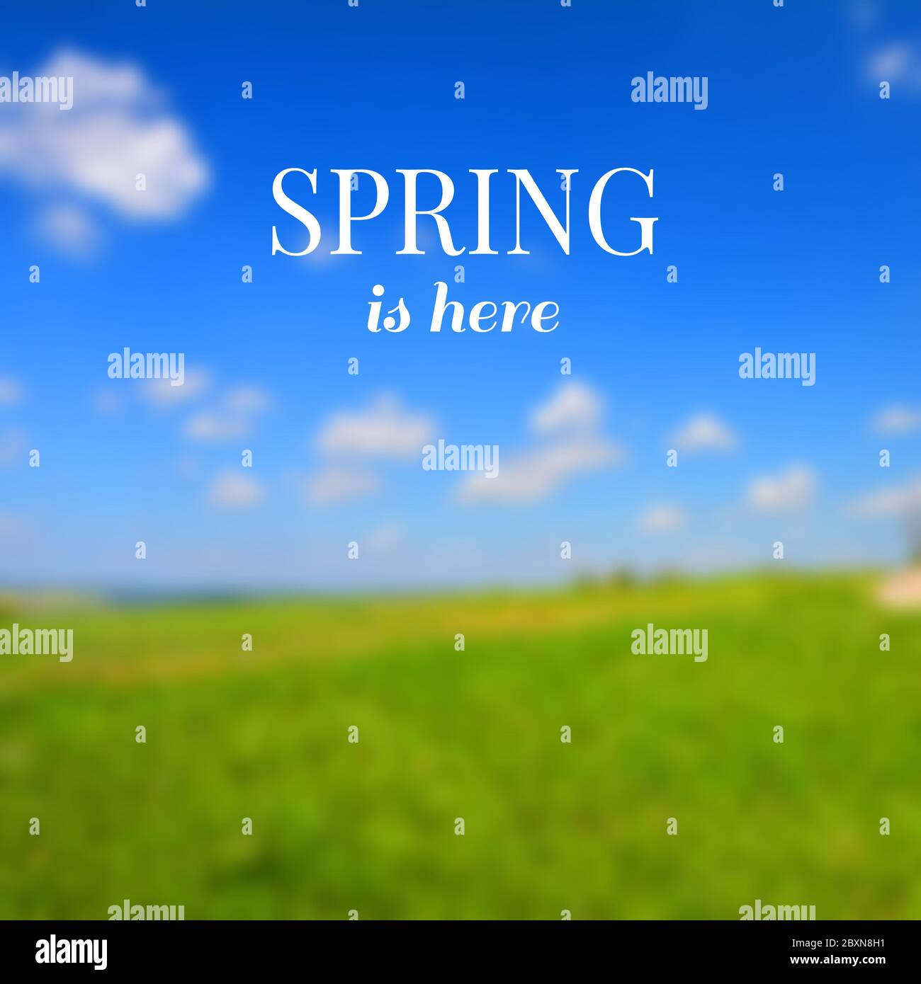Spring is here. Text over blurred green meadow background Stock Photo ...