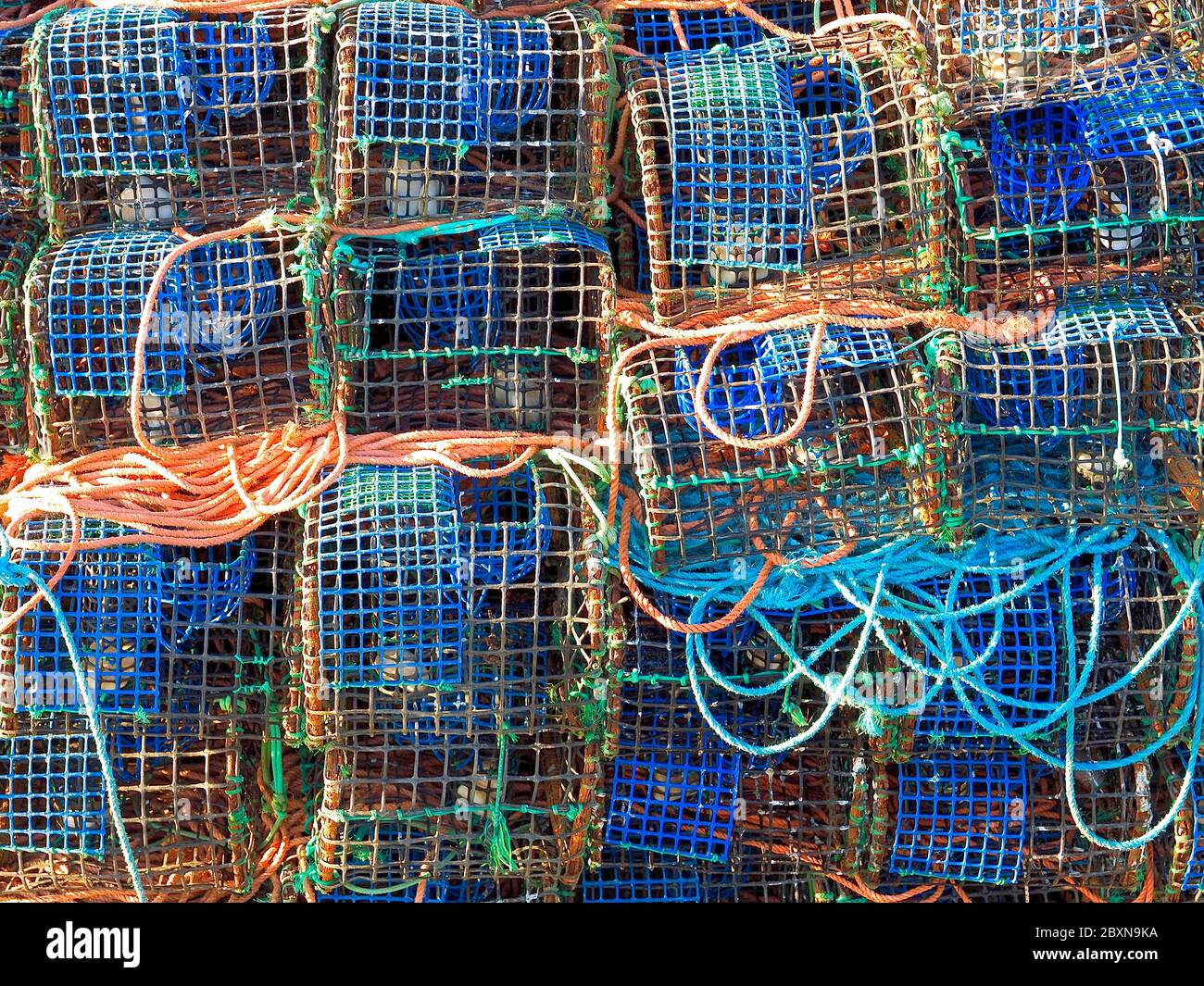 Closeup rope netting nature hi-res stock photography and images - Alamy