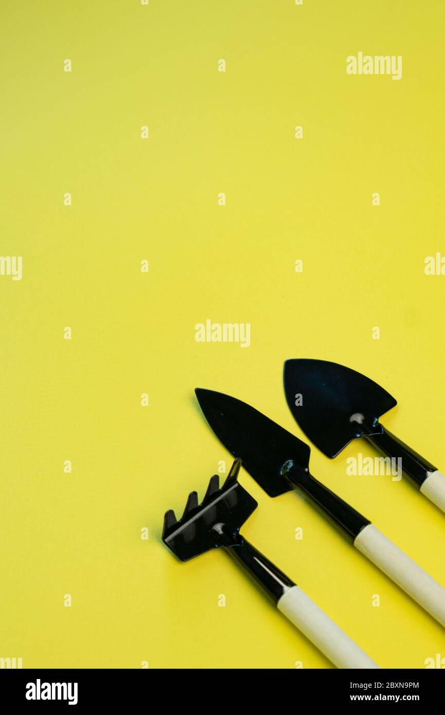 small garden tools for home seed planting, on a bright yellow ...