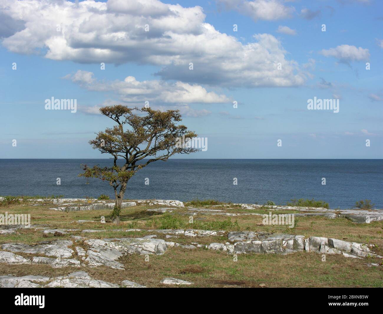 Scania coast hi-res stock photography and images - Alamy
