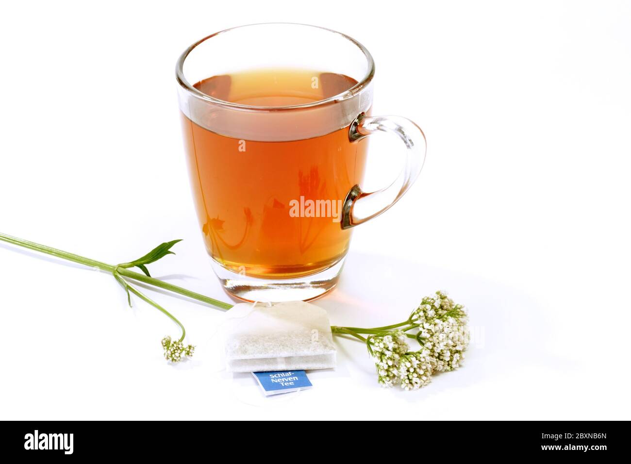Veleriana hi-res stock photography and images - Alamy