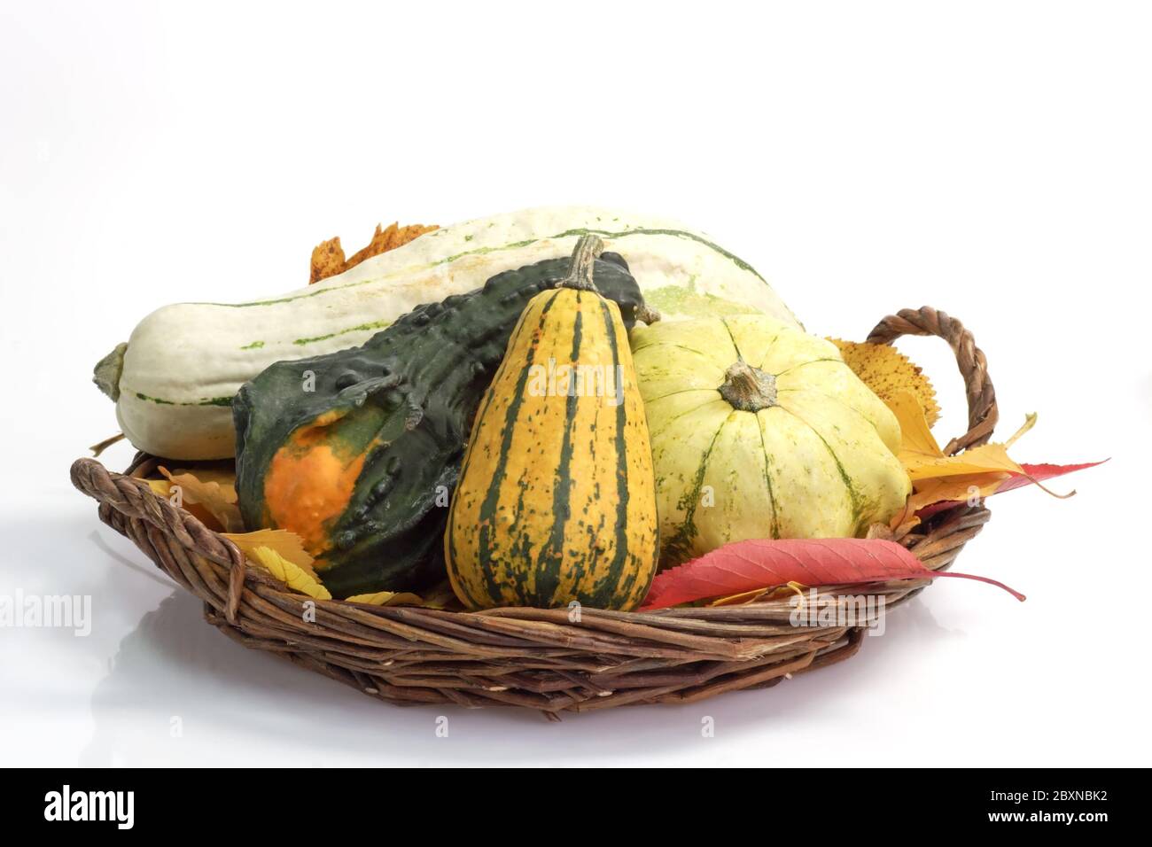 Ornamental gourds hi-res stock photography and images - Alamy