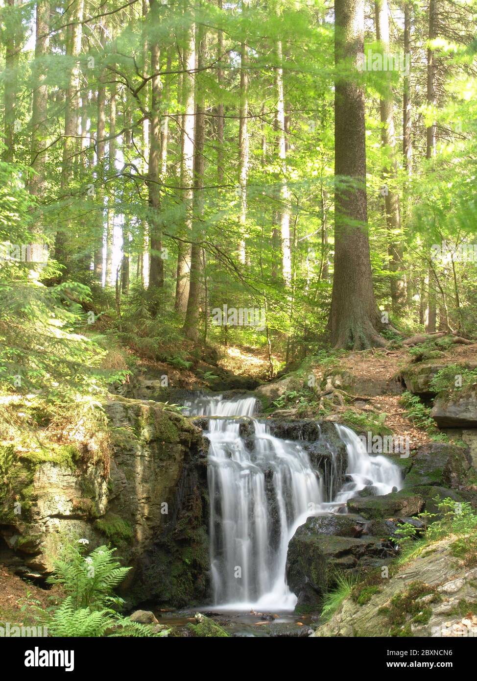 Waterfall in spring Stock Photo - Alamy