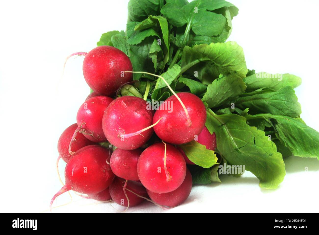 a bunch of radishes Stock Photo - Alamy