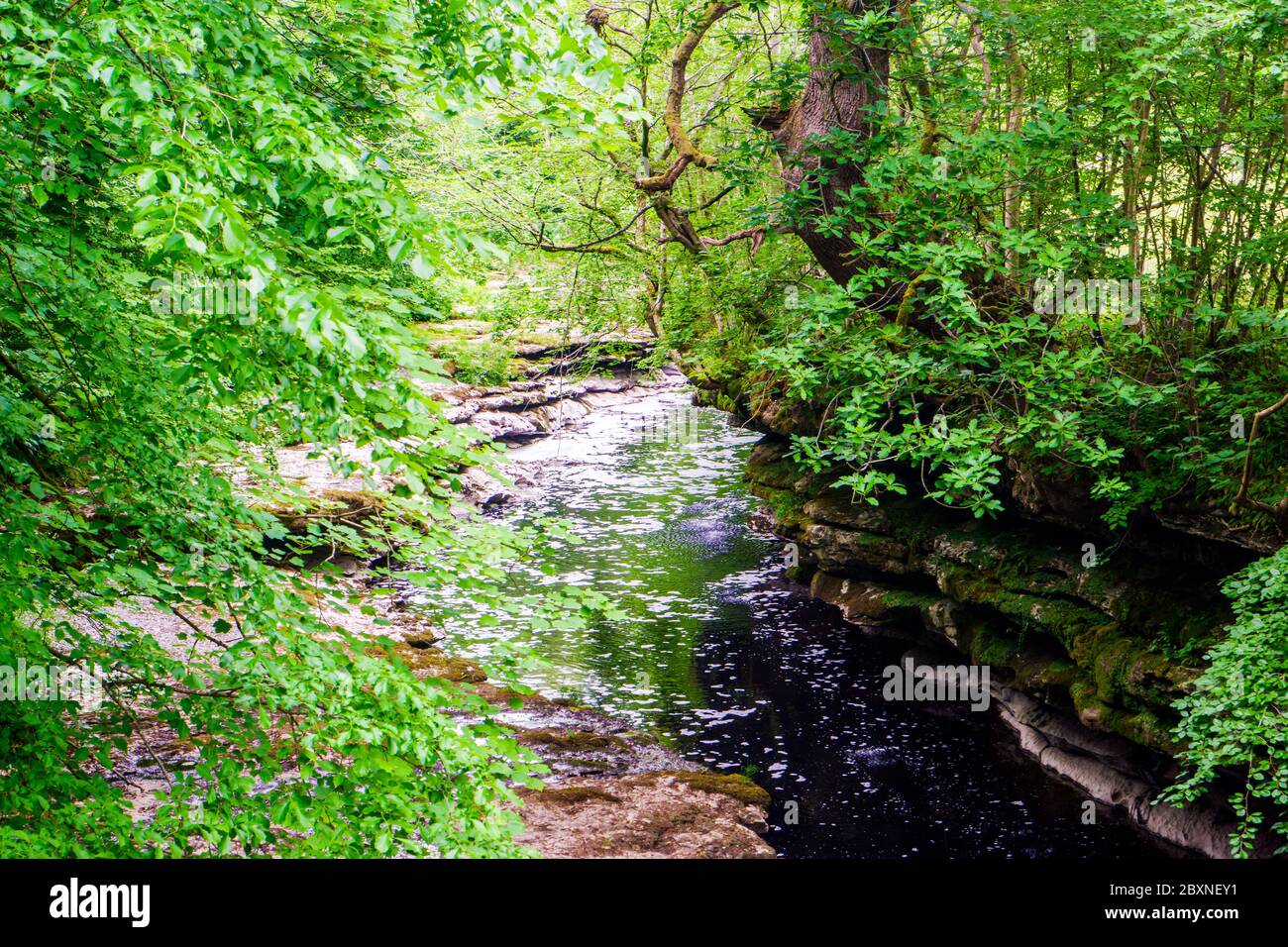 River Kent running through rocky gorge near Sedgwick UK Stock Photo - Alamy