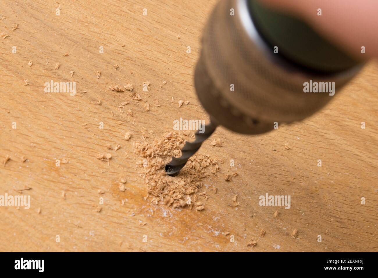 Assembling a bookcase hi-res stock photography and images - Alamy