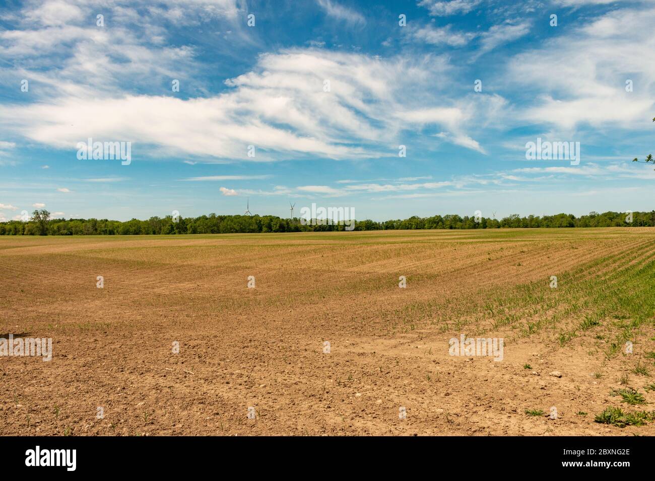 Farm land, Ontario, Canada. View of freshly planted fields Stock Photo ...