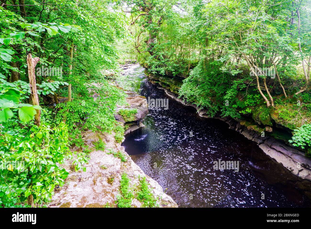 River Kent running through rocky gorge near Sedgwick UK Stock Photo - Alamy