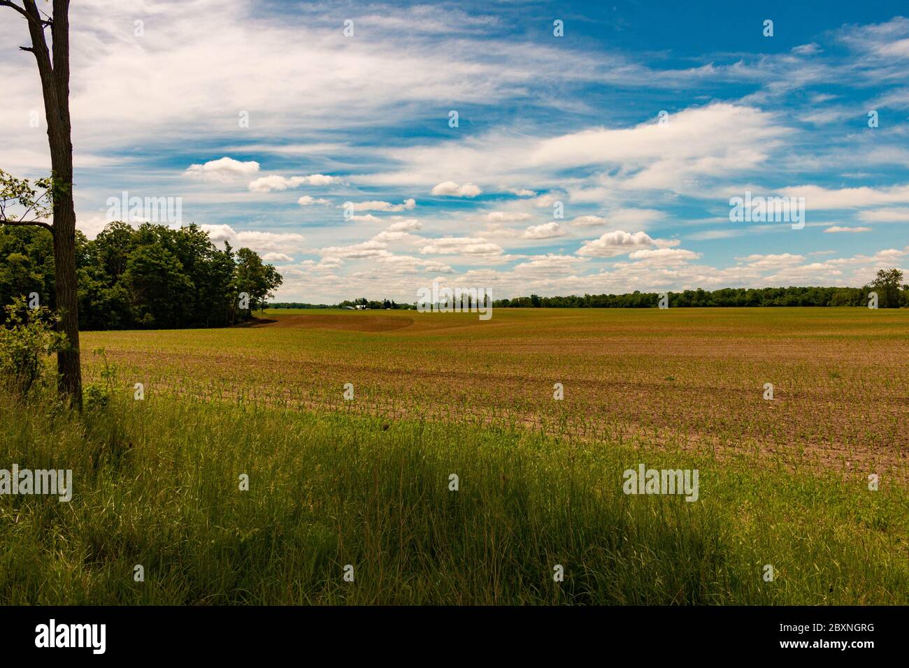 Farm land, Ontario, Canada. View of freshly planted fields Stock Photo ...