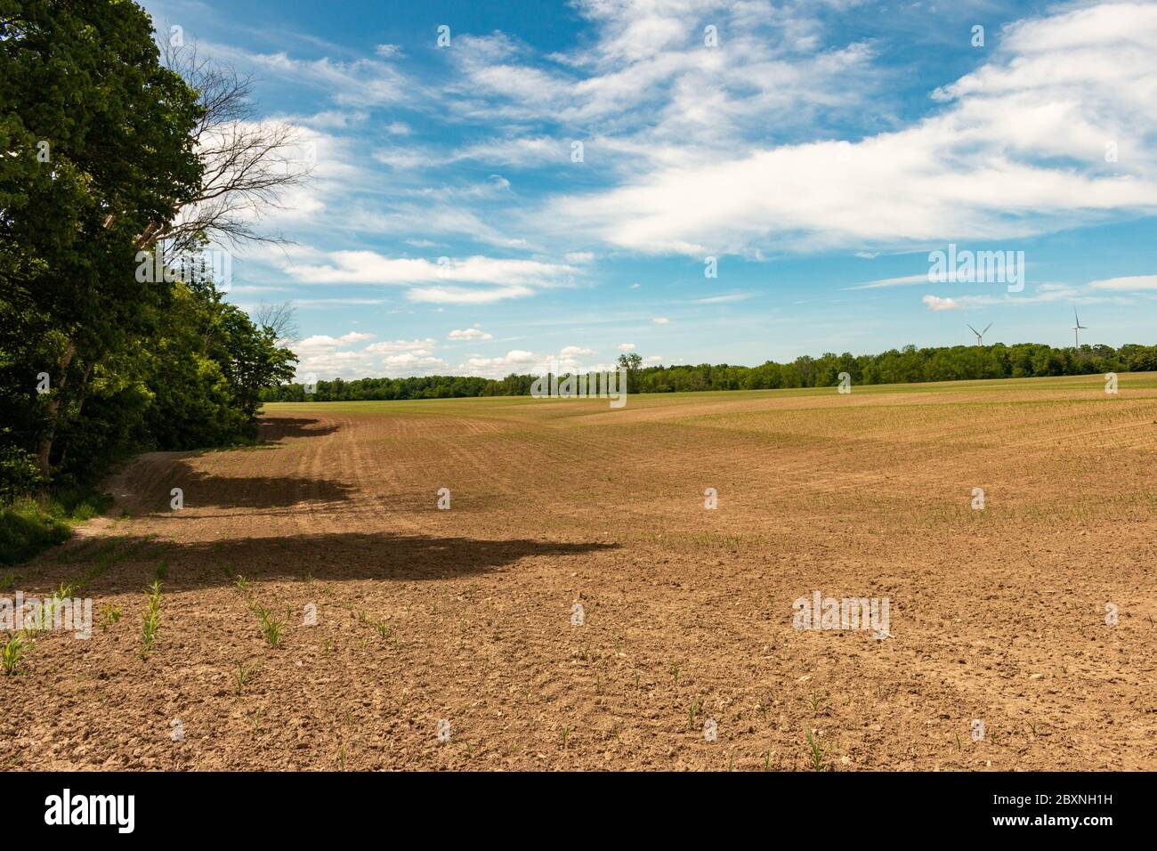 Farm land, Ontario, Canada. View of freshly planted fields Stock Photo ...